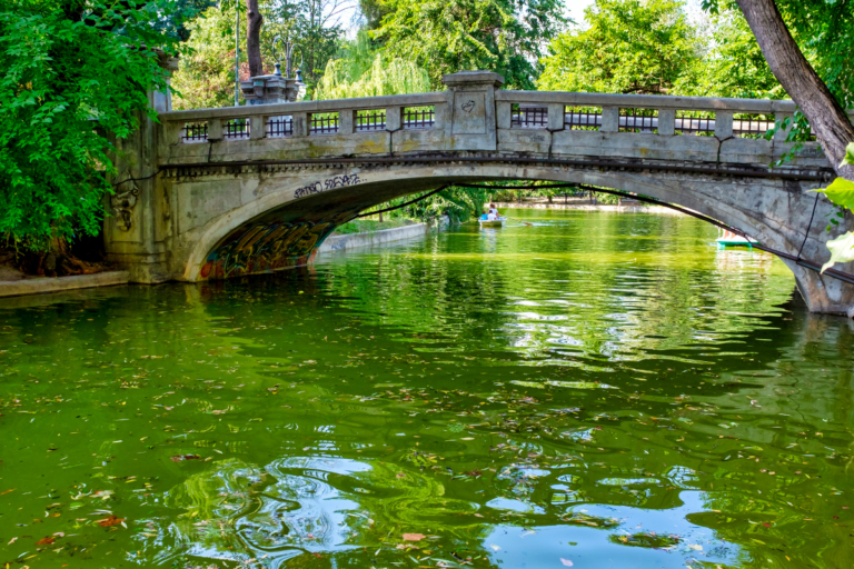 The Best Places To See In Bucharest - Beyond Dracula