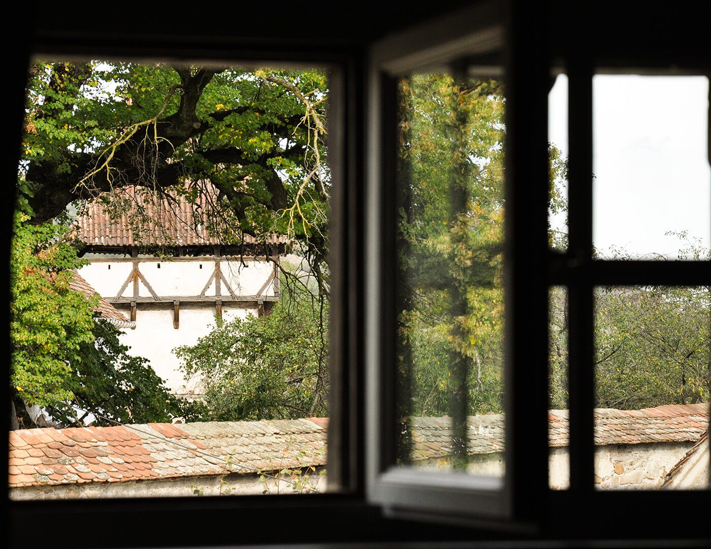 window-photo-why-romania - Beyond Dracula