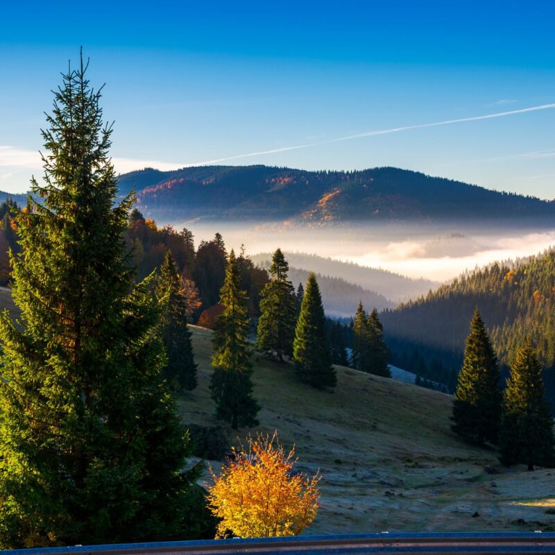 Reasons To Visit Romania During Fall - Beyond Dracula