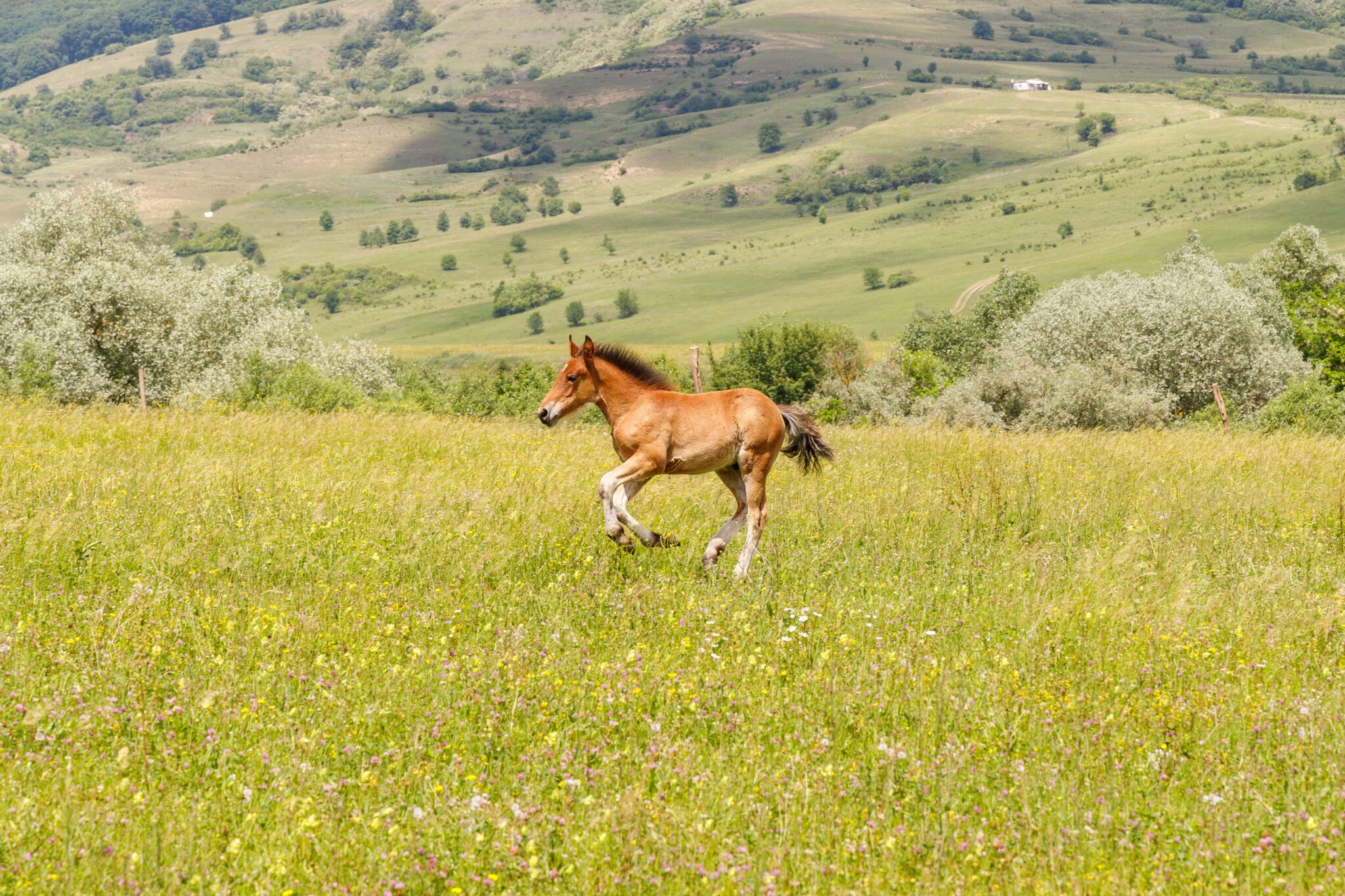 Safe to travel to Romania - Beyond Dracula
